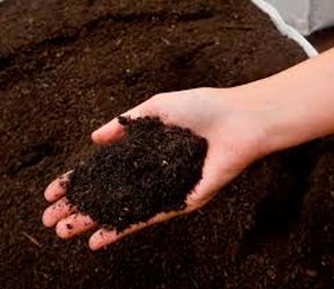 BIG BAG COMPOST 1000 Kgs